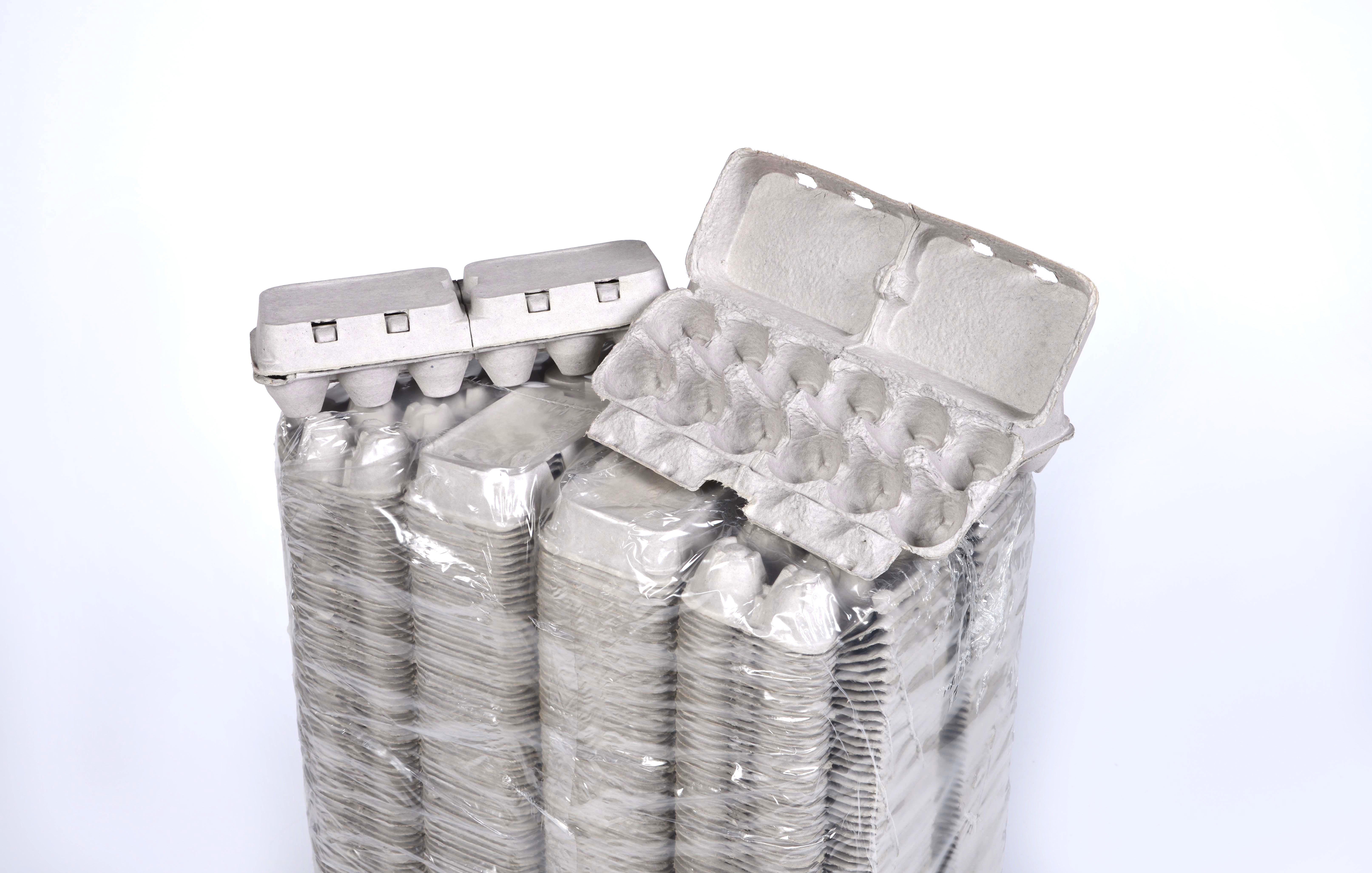 Coast Packaging - Shop Online